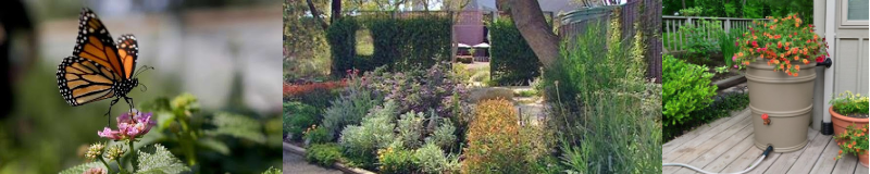 Low Impact Landscaping – Safe Skies Maryland